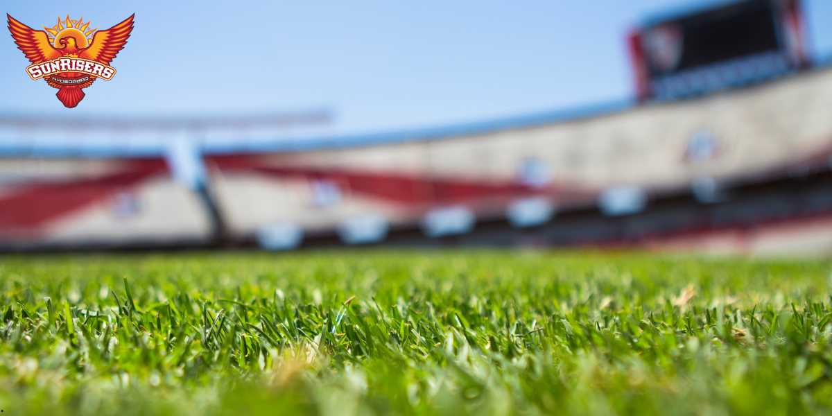 850+ Sunrisers Hyderabad Fans WhatsApp Group Links Join List 2025